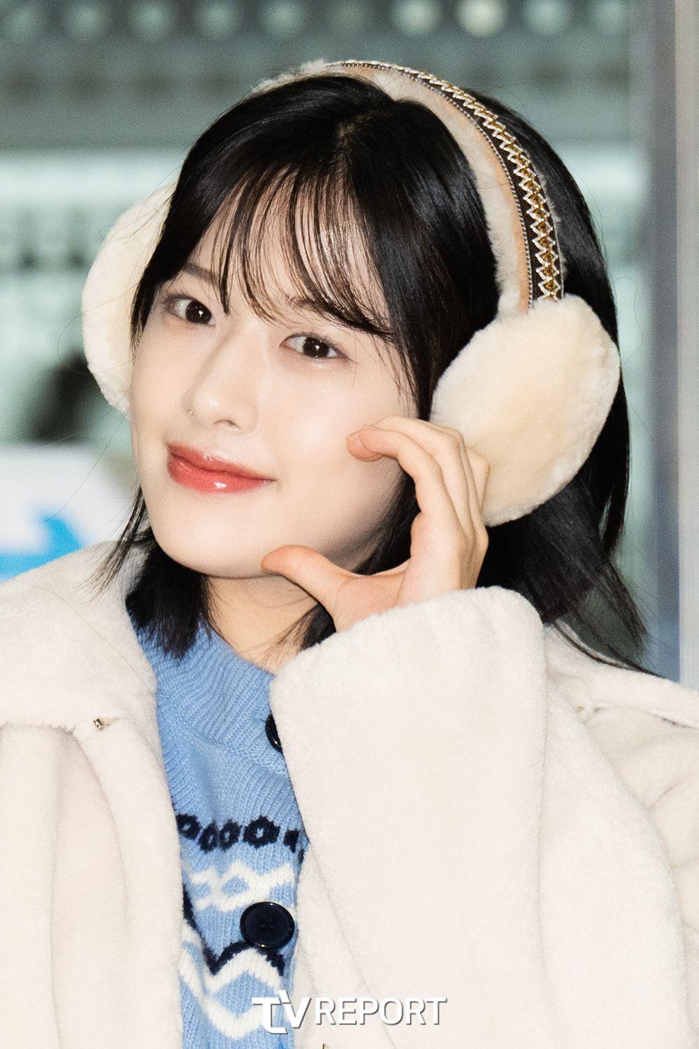 더쿠 강아지 꼬순내 나는 오늘 아이브 안유진 안댕댕 출국 기사사진