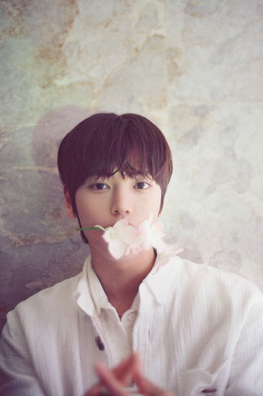 HANEUM Unveils New Beginnings with 'Florist' - Discover Latest K-Pop ...